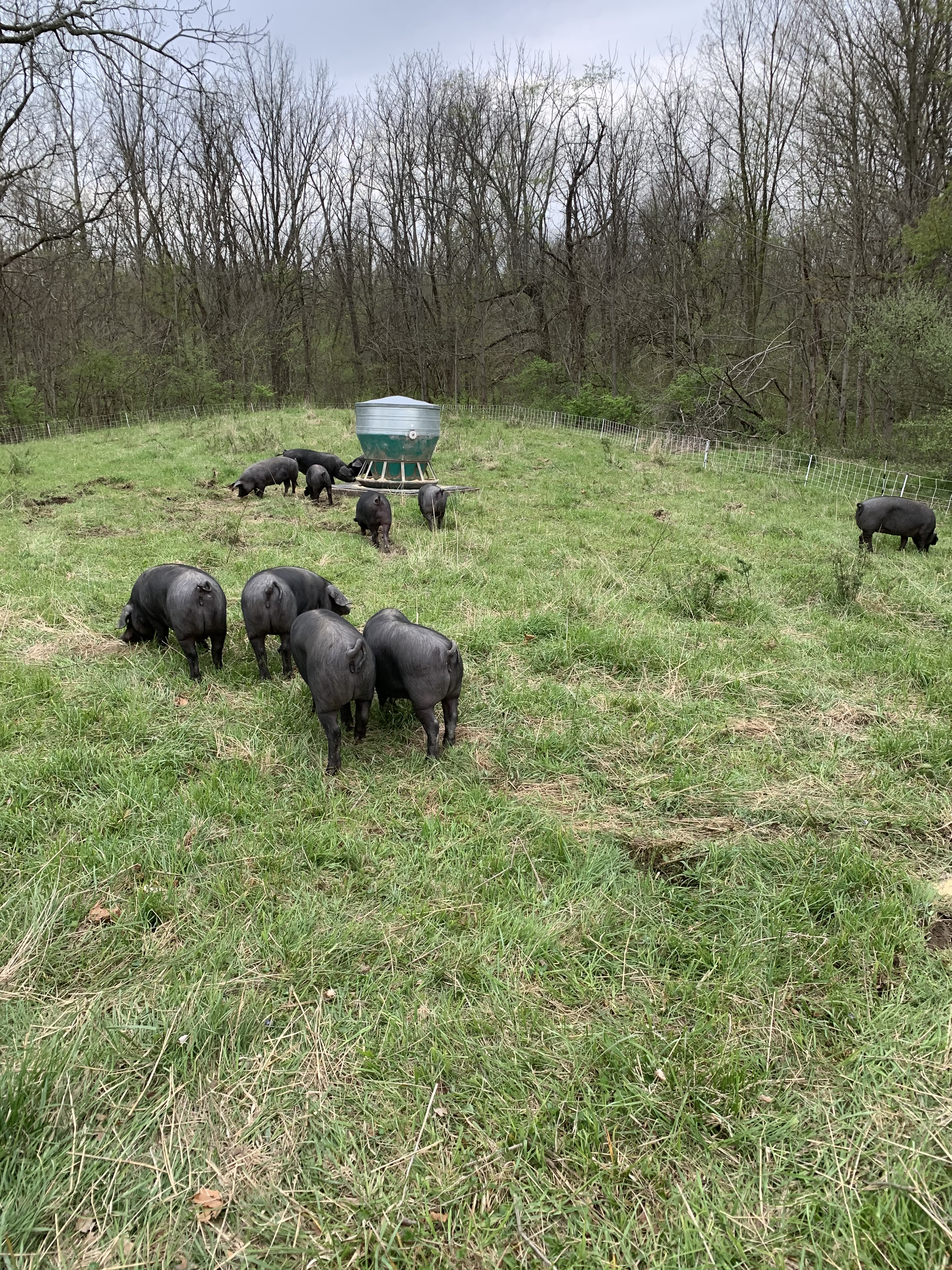 img_2659 – WonderTree Farm