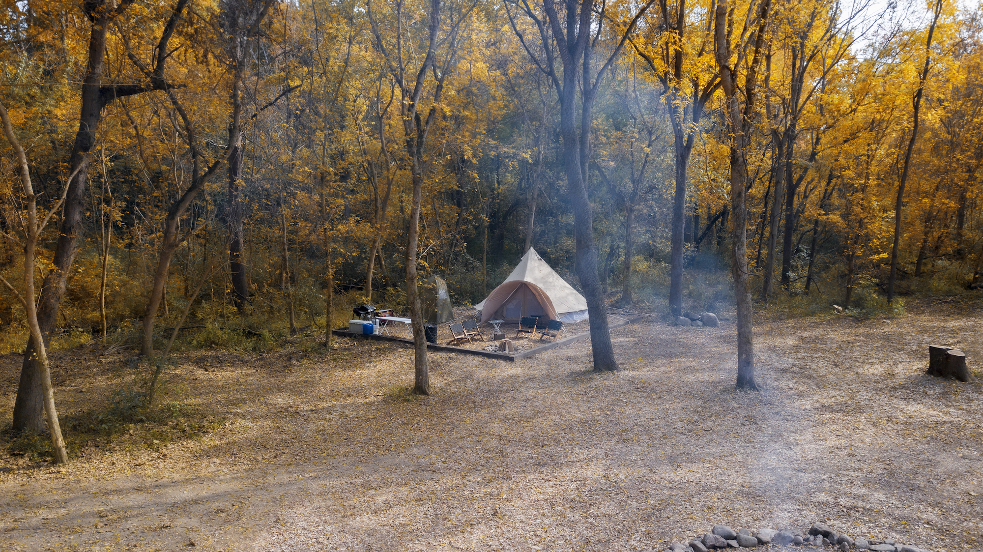 Glamping – WonderTree Farm